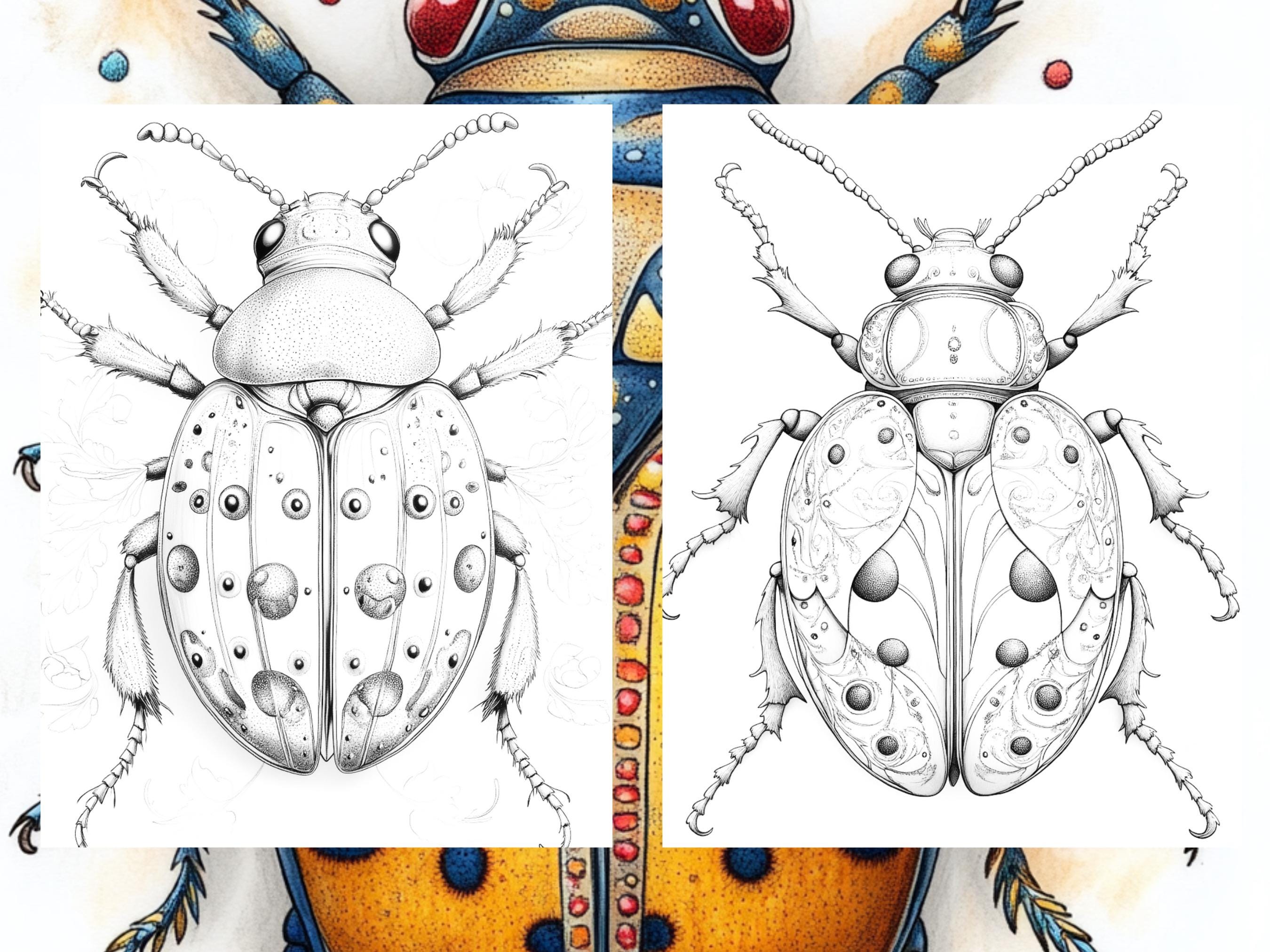 50 Brilliant Beetle Coloring Pages - Adults and Kids Coloring Book ...