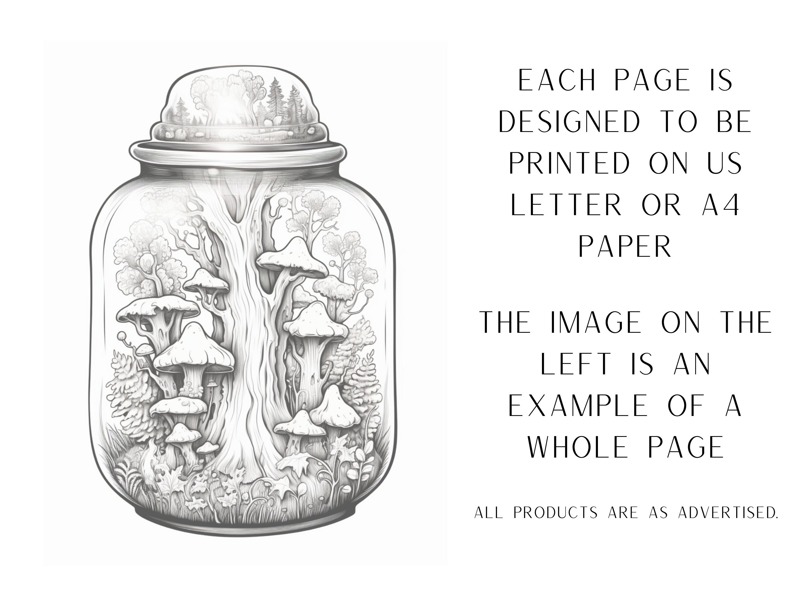 50 Enchanted Forest Jar Coloring Pages Adult and Kids Coloring Book ...