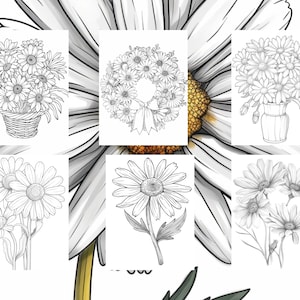 25 Daisy Flower Coloring Pages - Adults and Kids Coloring Book ...