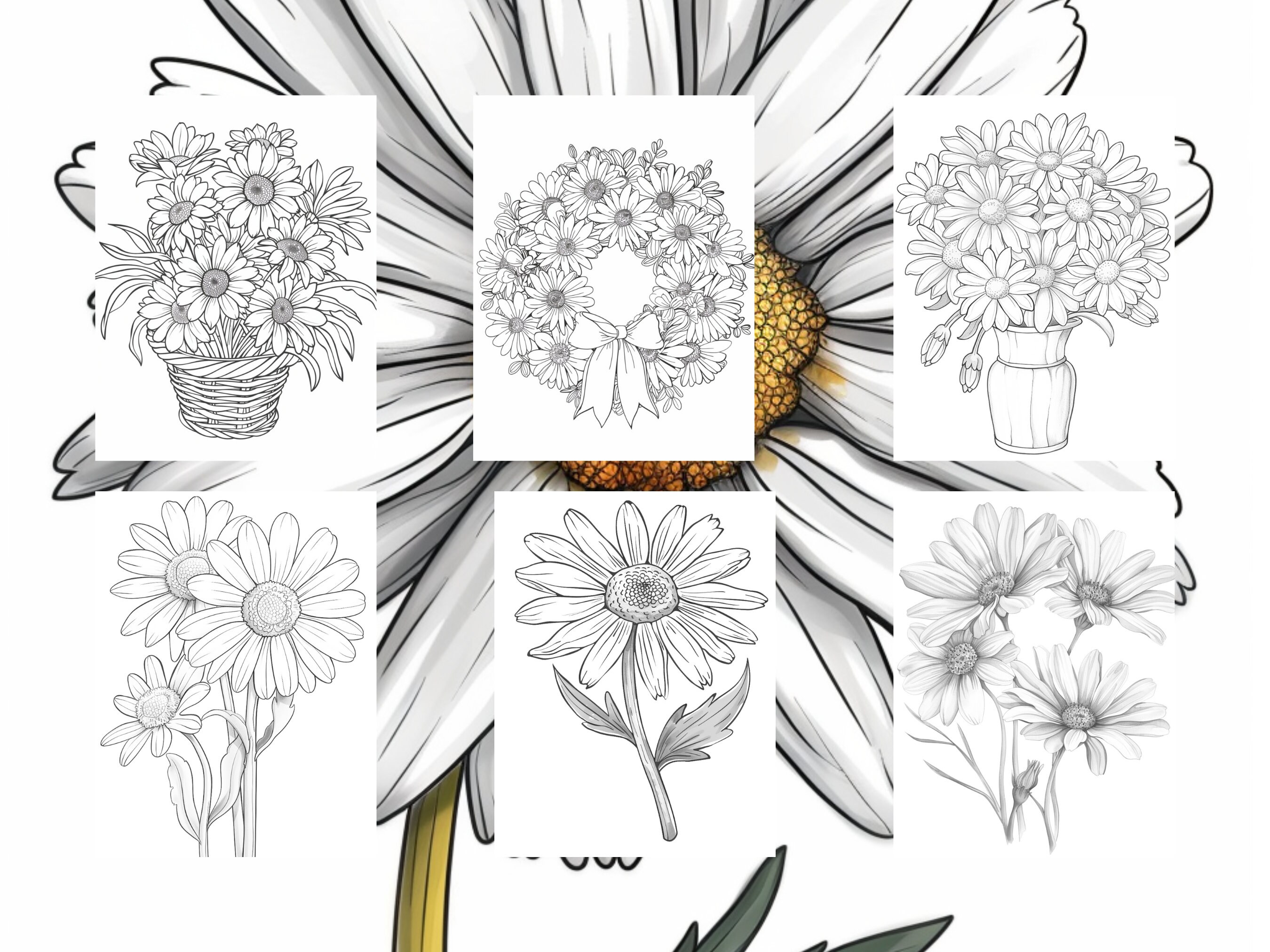 25 Daisy Flower Coloring Pages - Adults and Kids Coloring Book ...