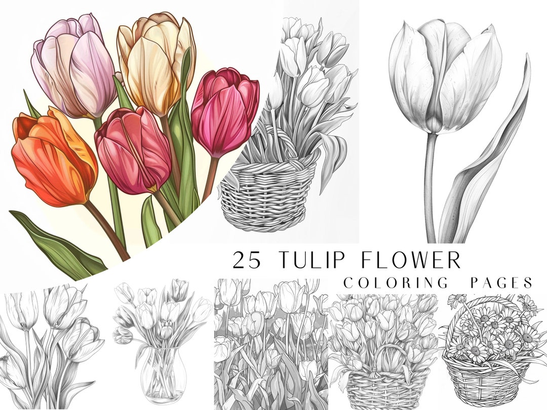 25 Tulip Flower Coloring Pages - Adults and Kids Coloring Book ...