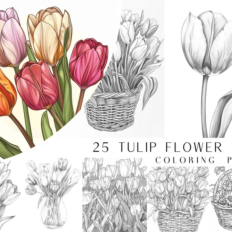 Tulip Coloring Sheets - Etsy