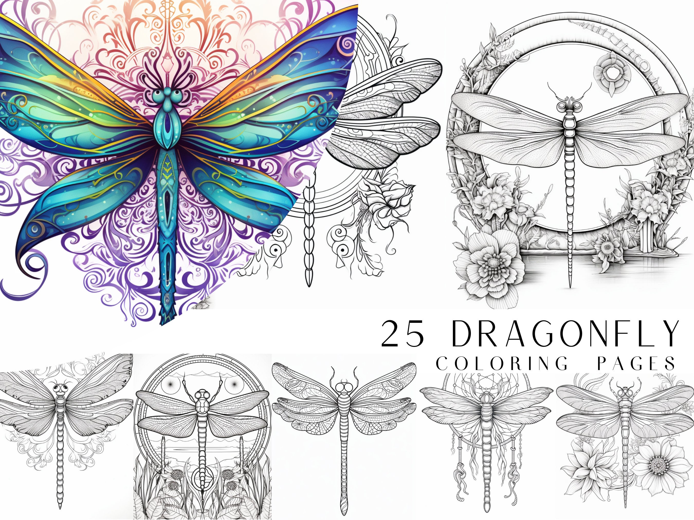25 Dragonfly Coloring Pages Adults Coloring Book, Greyscale, Digital ...