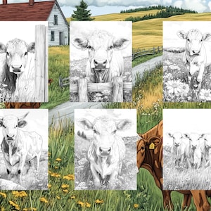 50 Country Cow Coloring Pages - Adult and Kids Coloring Book, Animal ...