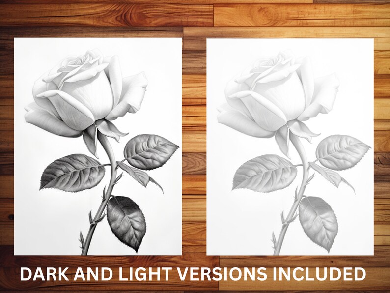100 Delicate Rose Coloring Pages - Adults and Kids Coloring Book ...