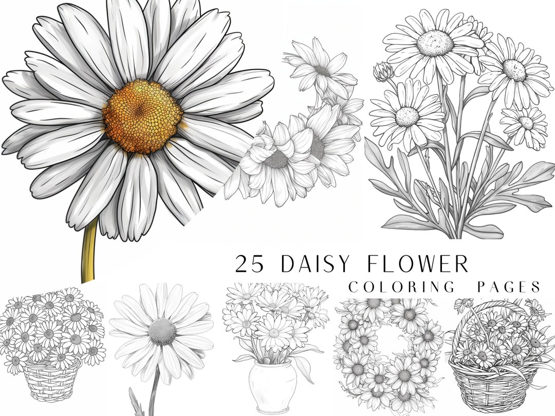 25 Daisy Flower Coloring Pages - Adults and Kids Coloring Book ...