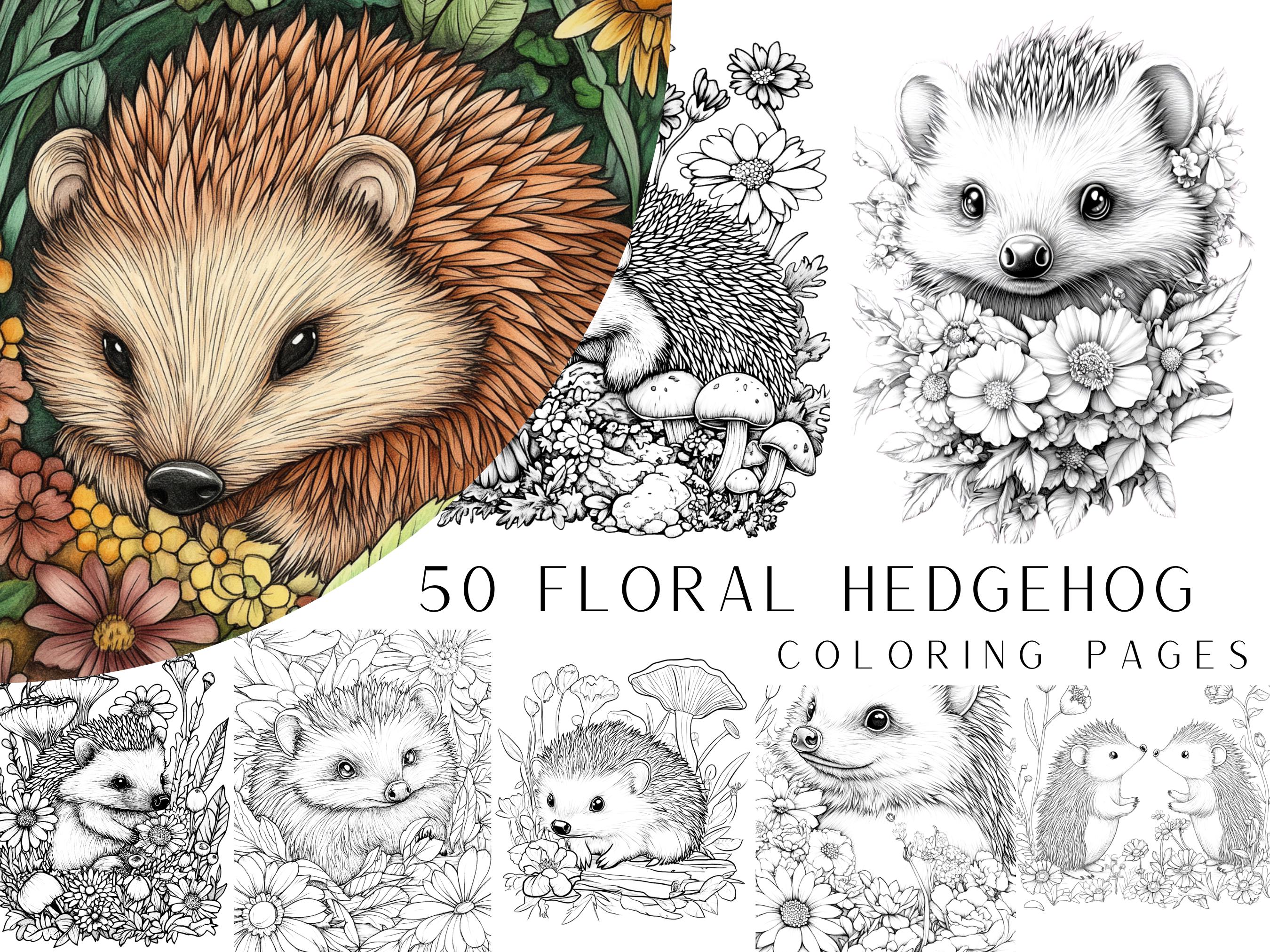 50 Floral Hedgehog Coloring Pages - Instant PDF Digital Download ...