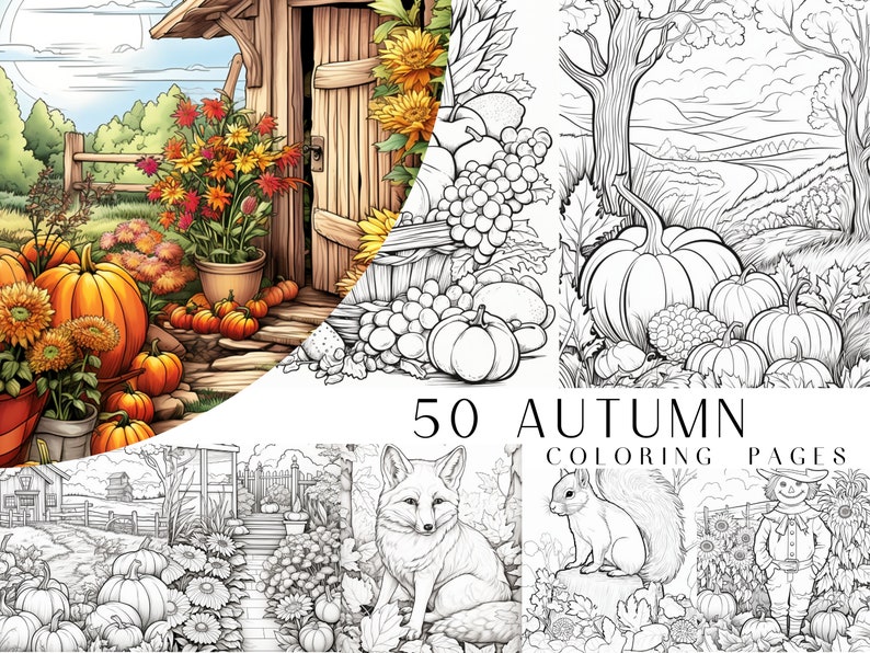 50 Autumn Coloring Pages Kids and Adult Coloring Book, Grayscale ...