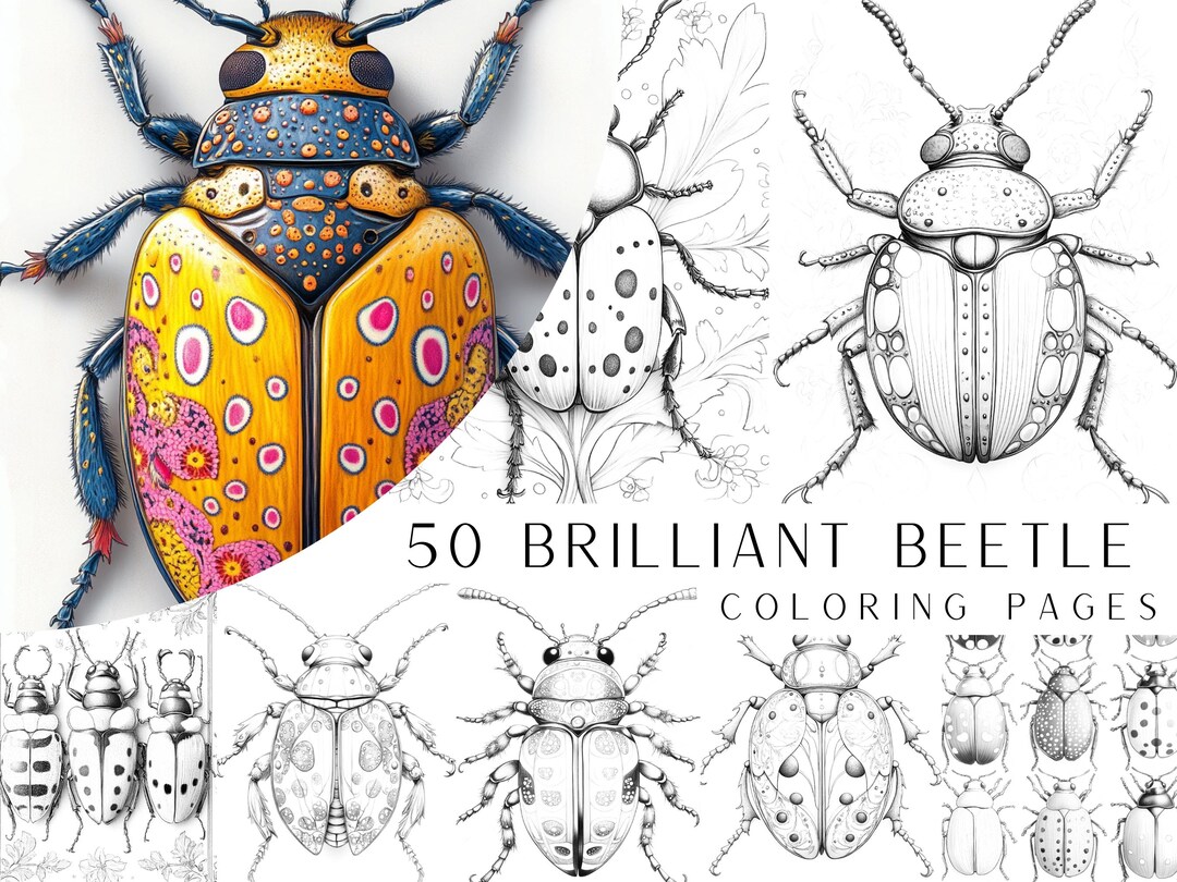 50 Brilliant Beetle Coloring Pages - Adults and Kids Coloring Book ...