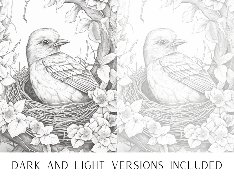 25 Cute Bird Coloring Pages Adults and Kids Coloring Book, Digital ...