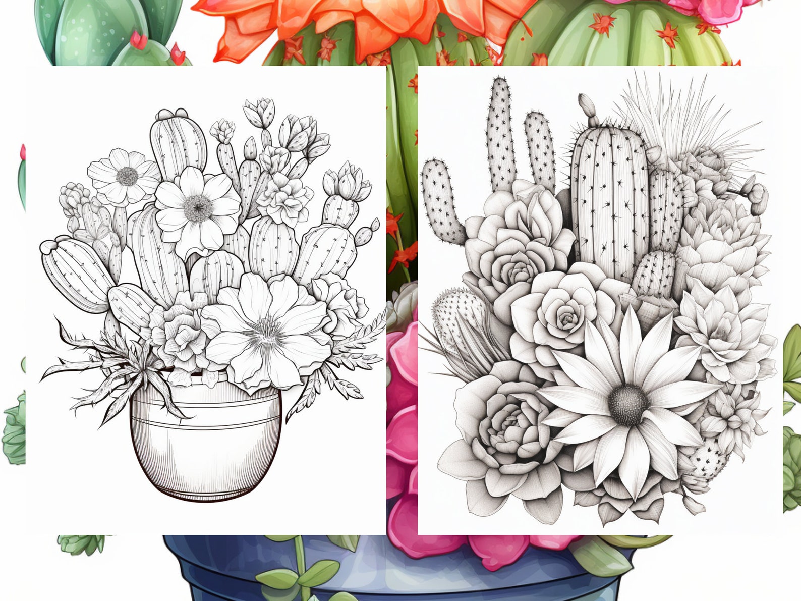 25 Floral Cactus and Succulent Coloring Pages Adult Coloring - Etsy