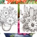 25 Floral Cactus and Succulent Coloring Pages Adult Coloring - Etsy