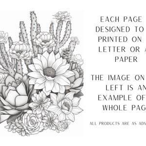 25 Floral Cactus and Succulent Coloring Pages - Adult Coloring Book ...