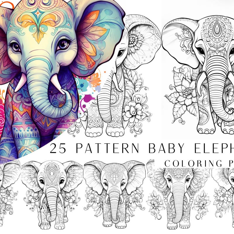 Elephant Coloring Sheets - Etsy