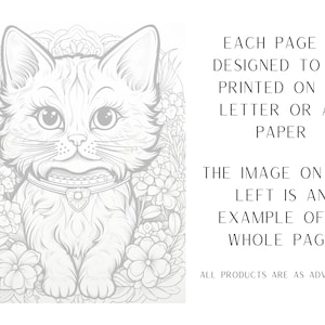 25 Adorable Cat Coloring Pages - Adult and Kids Coloring Book, Animal ...