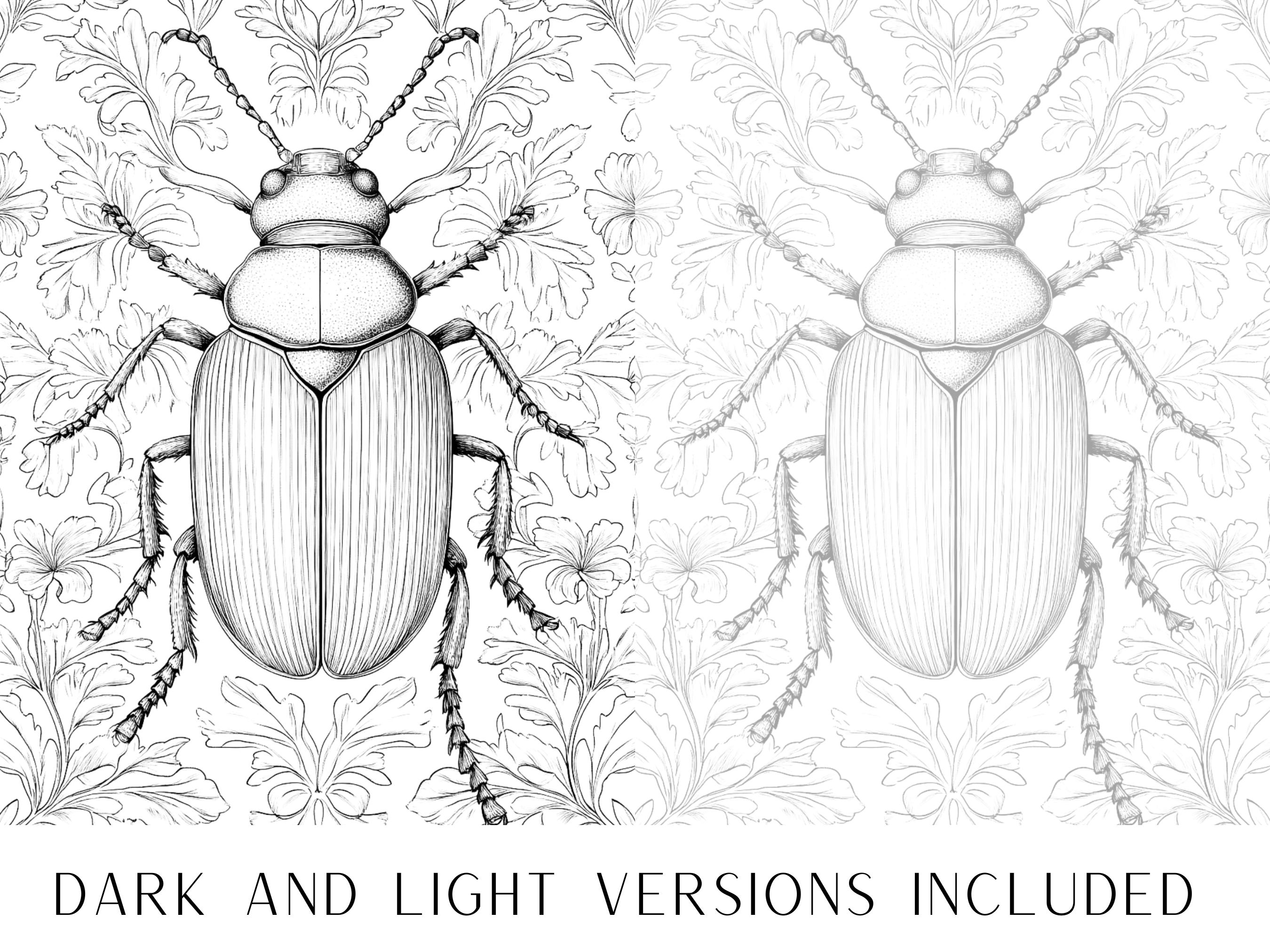 50 Brilliant Beetle Coloring Pages - Adults and Kids Coloring Book ...