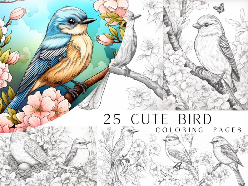 25 Cute Bird Coloring Pages Adults and Kids Coloring Book, Digital ...