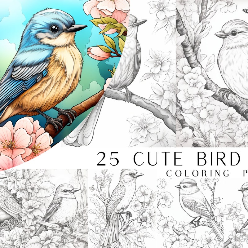 Coloring Book on Birds - Etsy