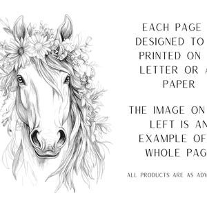100 Floral Horse Coloring Pages - Instant PDF Digital Download ...