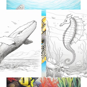 50 Sea Creature Coloring Pages - Adult and Kids Coloring Book, Ocean ...