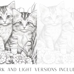 25 Adorable Cat Coloring Pages - Adult and Kids Coloring Book, Animal ...