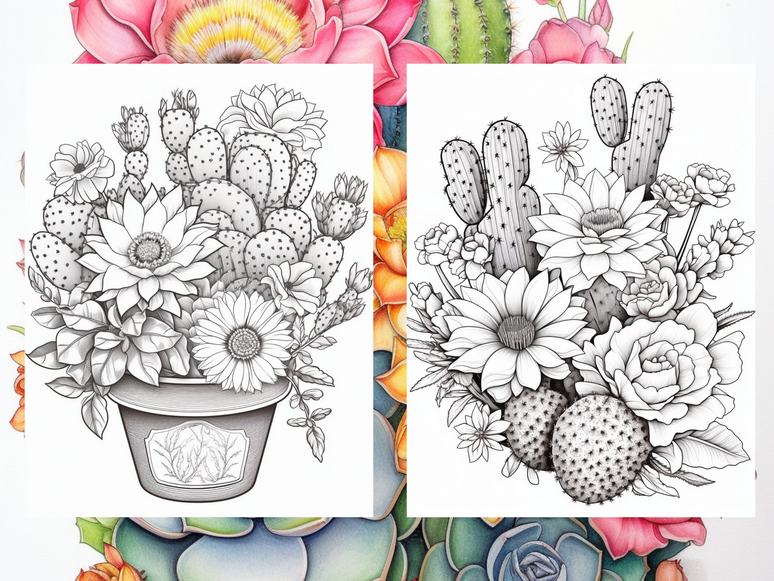 25 Floral Cactus and Succulent Coloring Pages Adult Coloring - Etsy