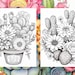 25 Floral Cactus and Succulent Coloring Pages Adult Coloring - Etsy