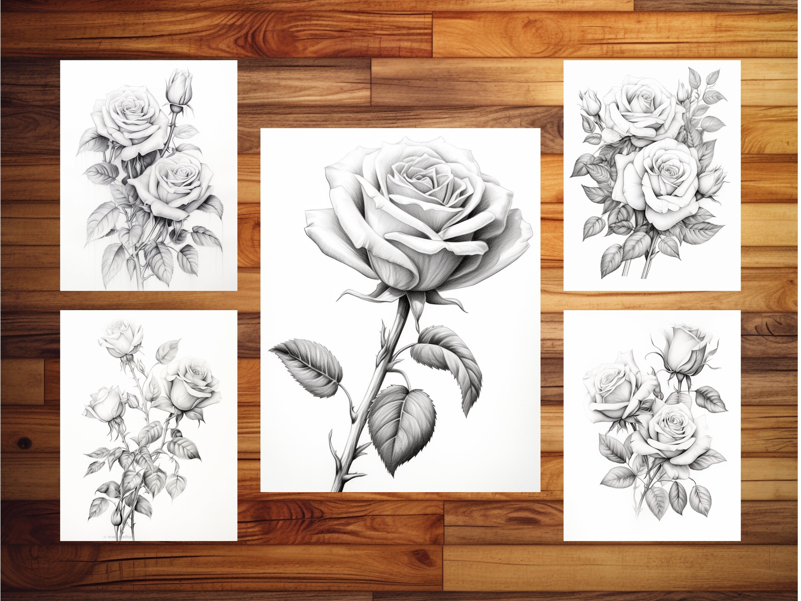 100 Delicate Rose Coloring Pages - Adults and Kids Coloring Book ...