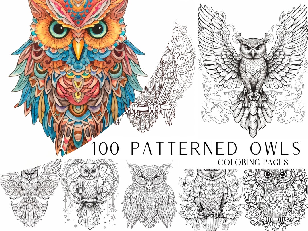 100 Patterned Owl Coloring Pages - Adults and Kids Coloring Book ...