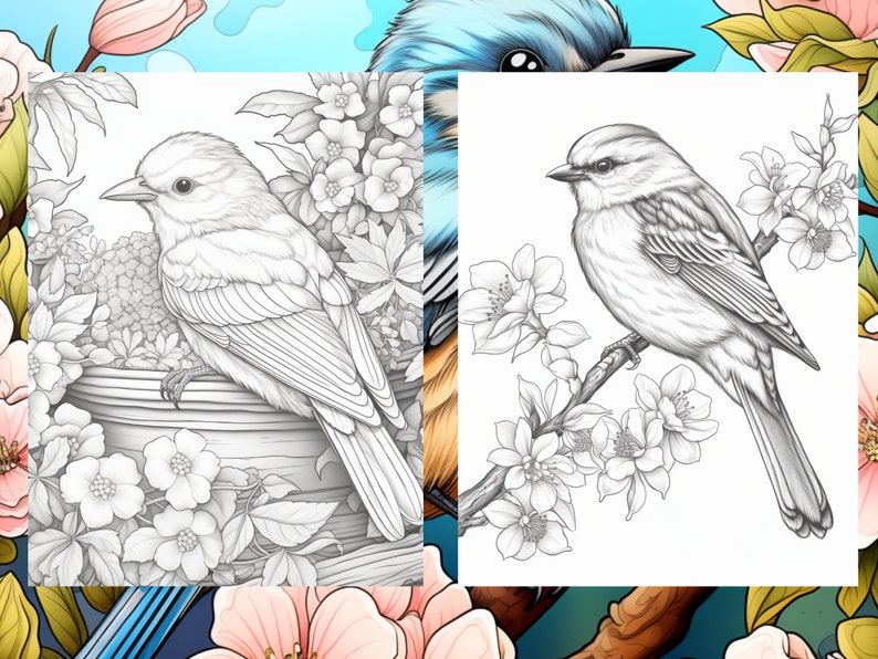 25 Cute Bird Coloring Pages Adults and Kids Coloring Book, Digital ...
