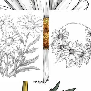25 Daisy Flower Coloring Pages - Adults and Kids Coloring Book ...