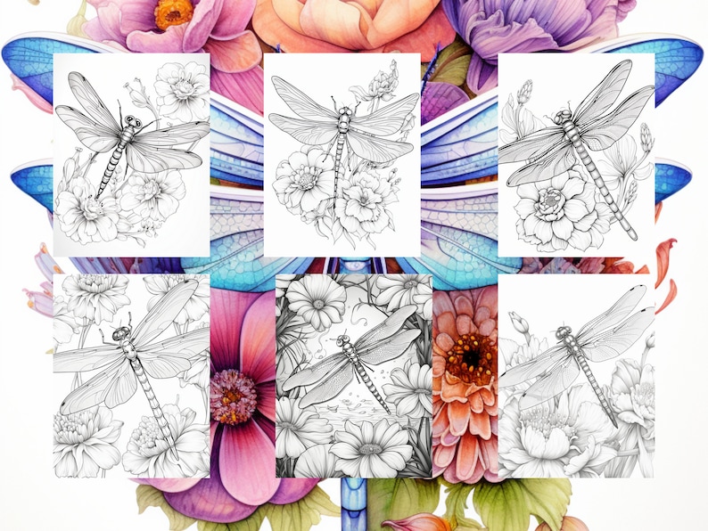 25 Floral Dragonfly Coloring Pages Adult and Kids Coloring Book ...