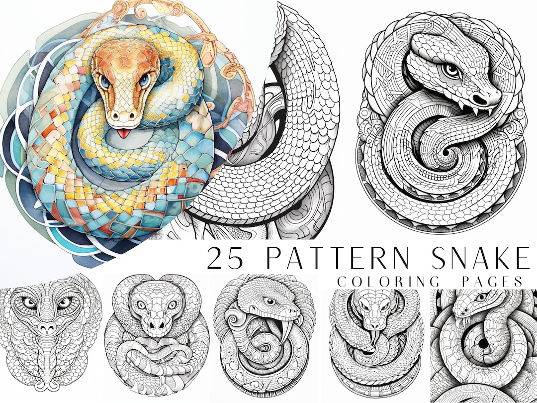 25 Patterned Snake Coloring Pages - Adult and Kids Coloring Book ...