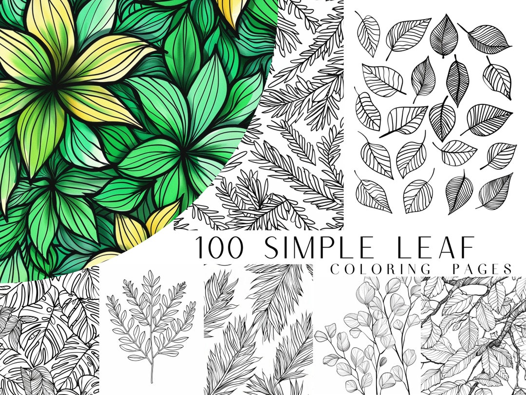 100 Simple Leaf Coloring Pages - Adults and Kids Coloring Book ...