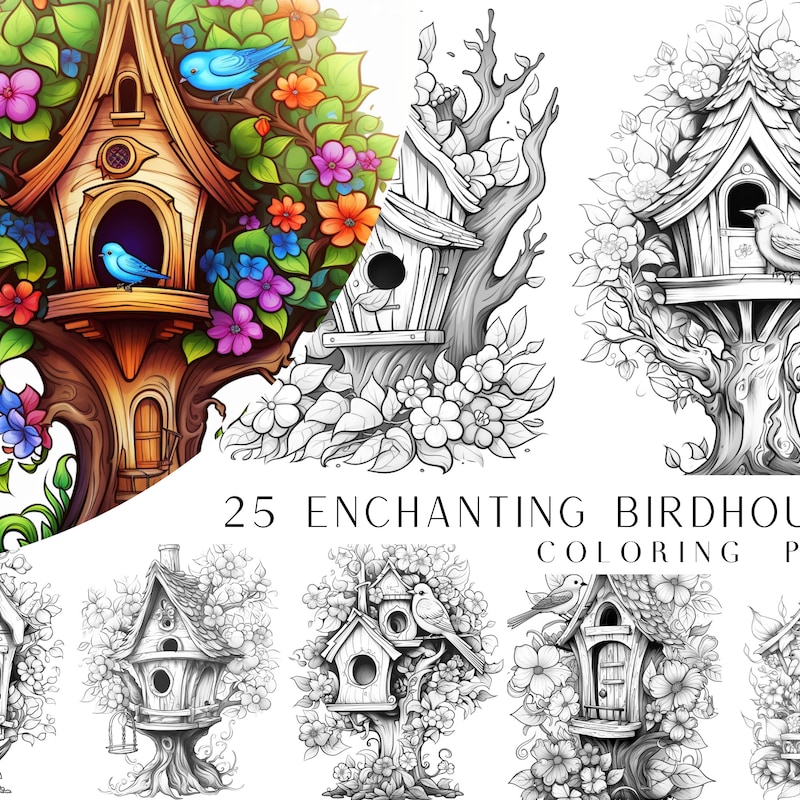 Birdhouse Coloring - Etsy