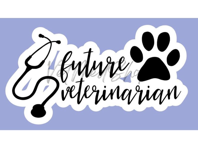 Future Veterinarian Sticker - Etsy