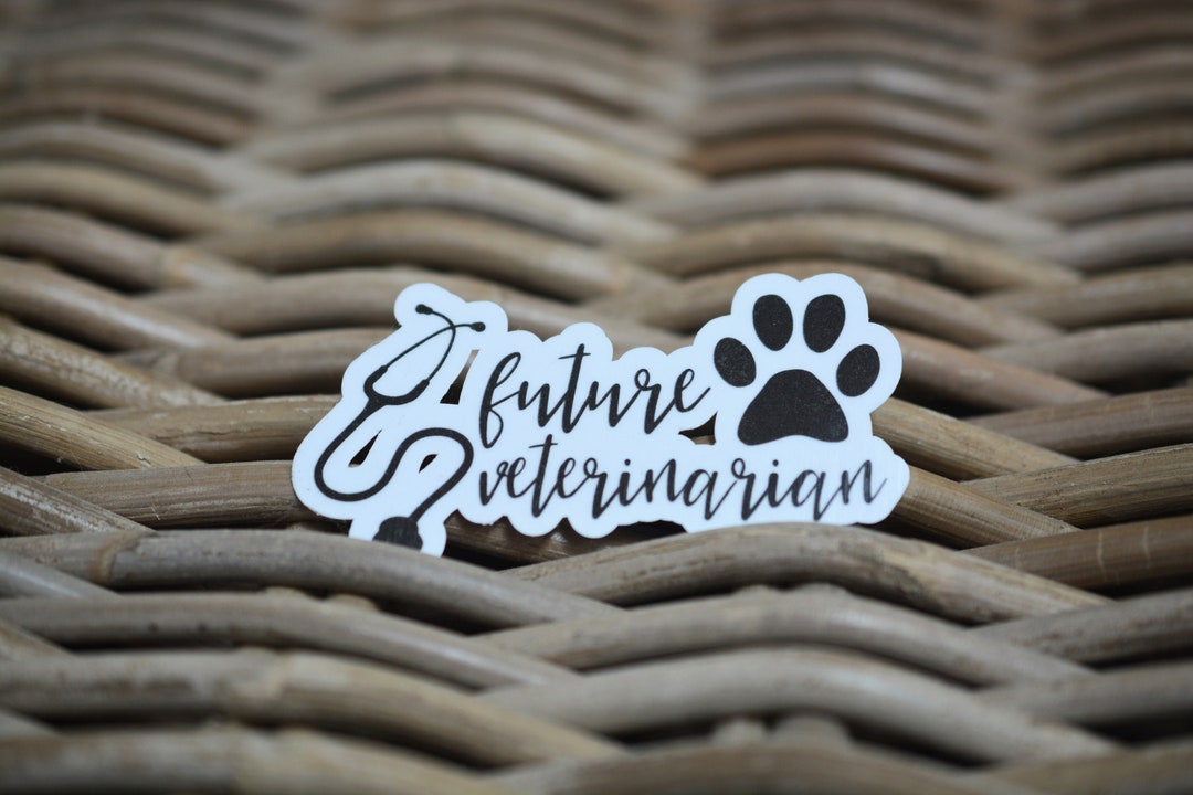 Future Veterinarian Sticker - Etsy