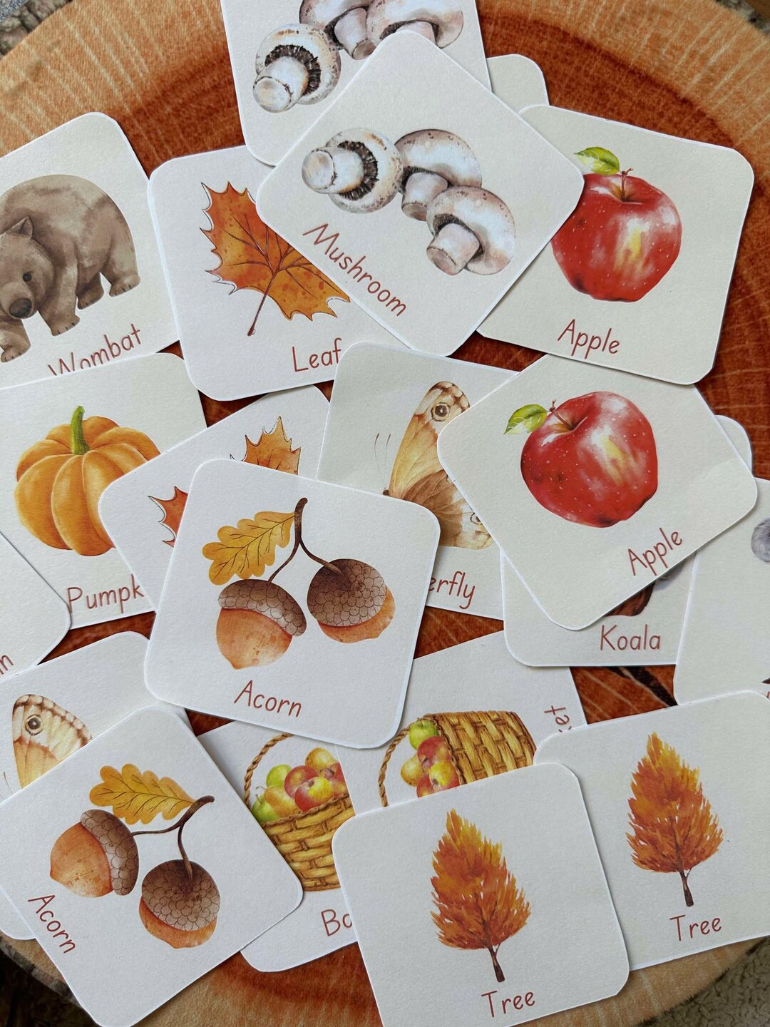 Autumnal Memory Match Game, Fall Memory Match, Autumn, Preschool and ...