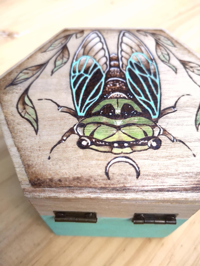 Pyrographic Wooden Box With Insects – Handmade Entomological Art ...