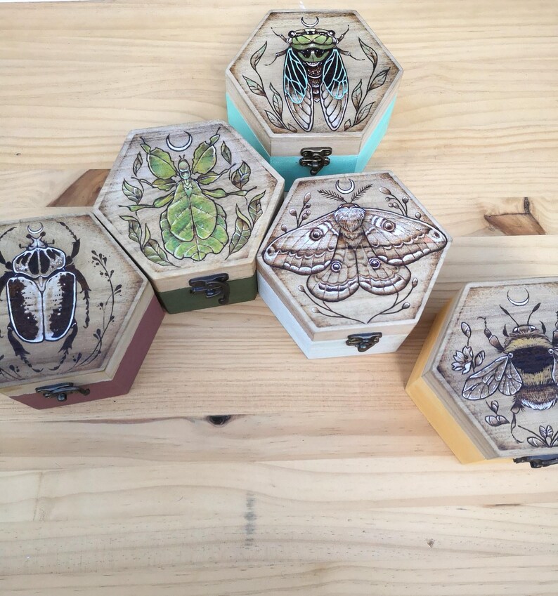 Pyrographic Wooden Box With Insects – Handmade Entomological Art ...