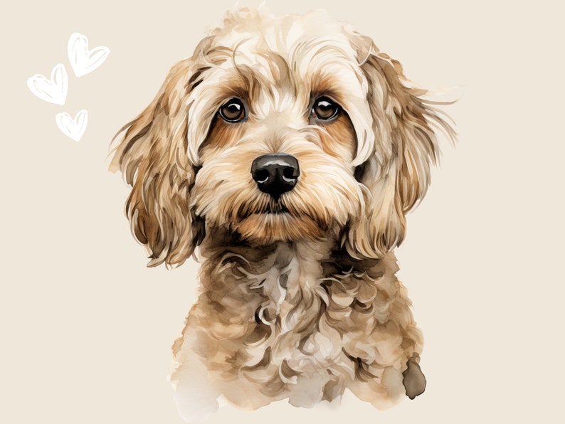 Cockapoo Clipart Dog Png Watercolor Clipart Dog Sublimation Dog ...