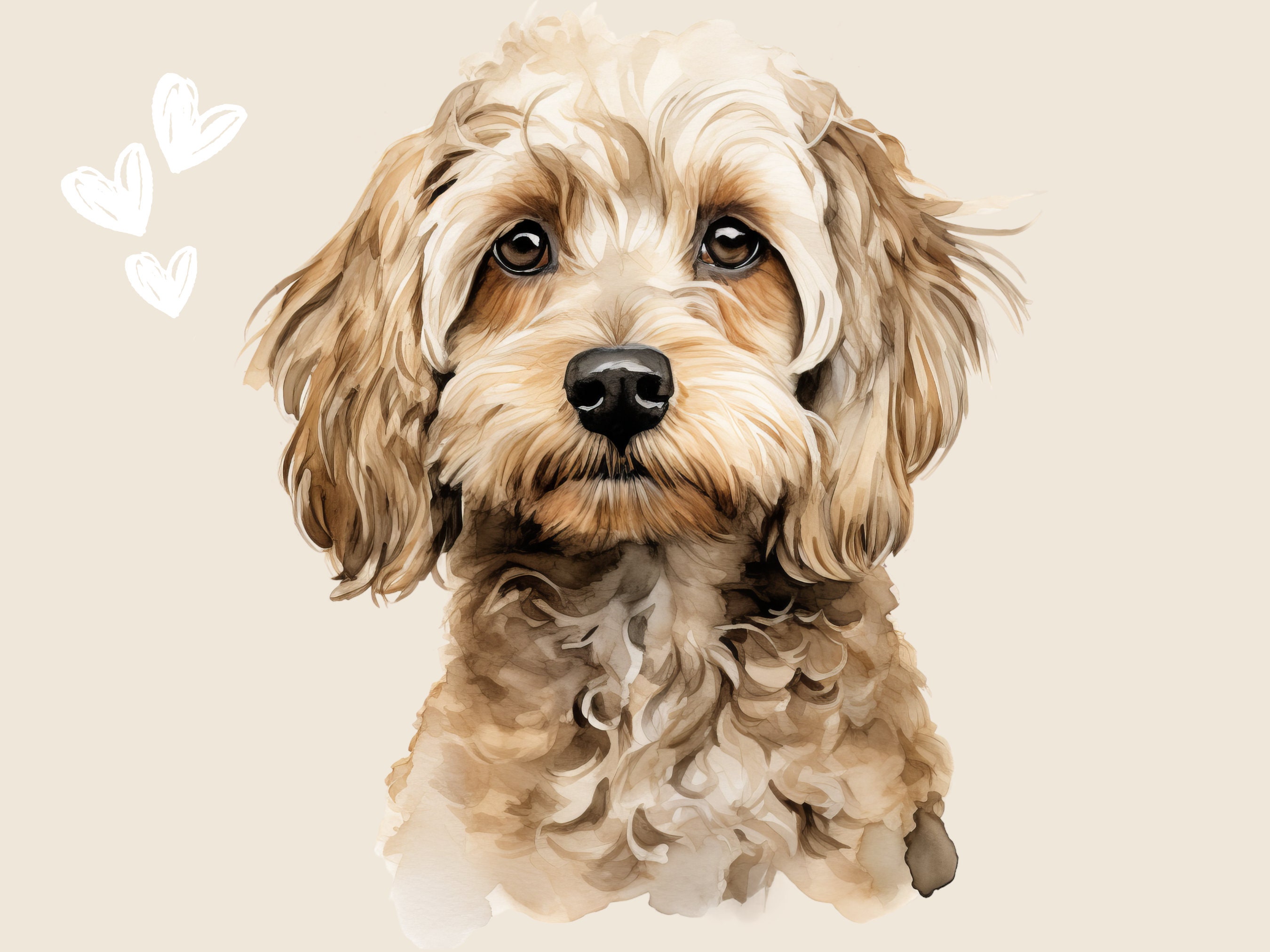 Cockapoo Clipart Dog Png Watercolor Clipart Dog Sublimation Dog ...
