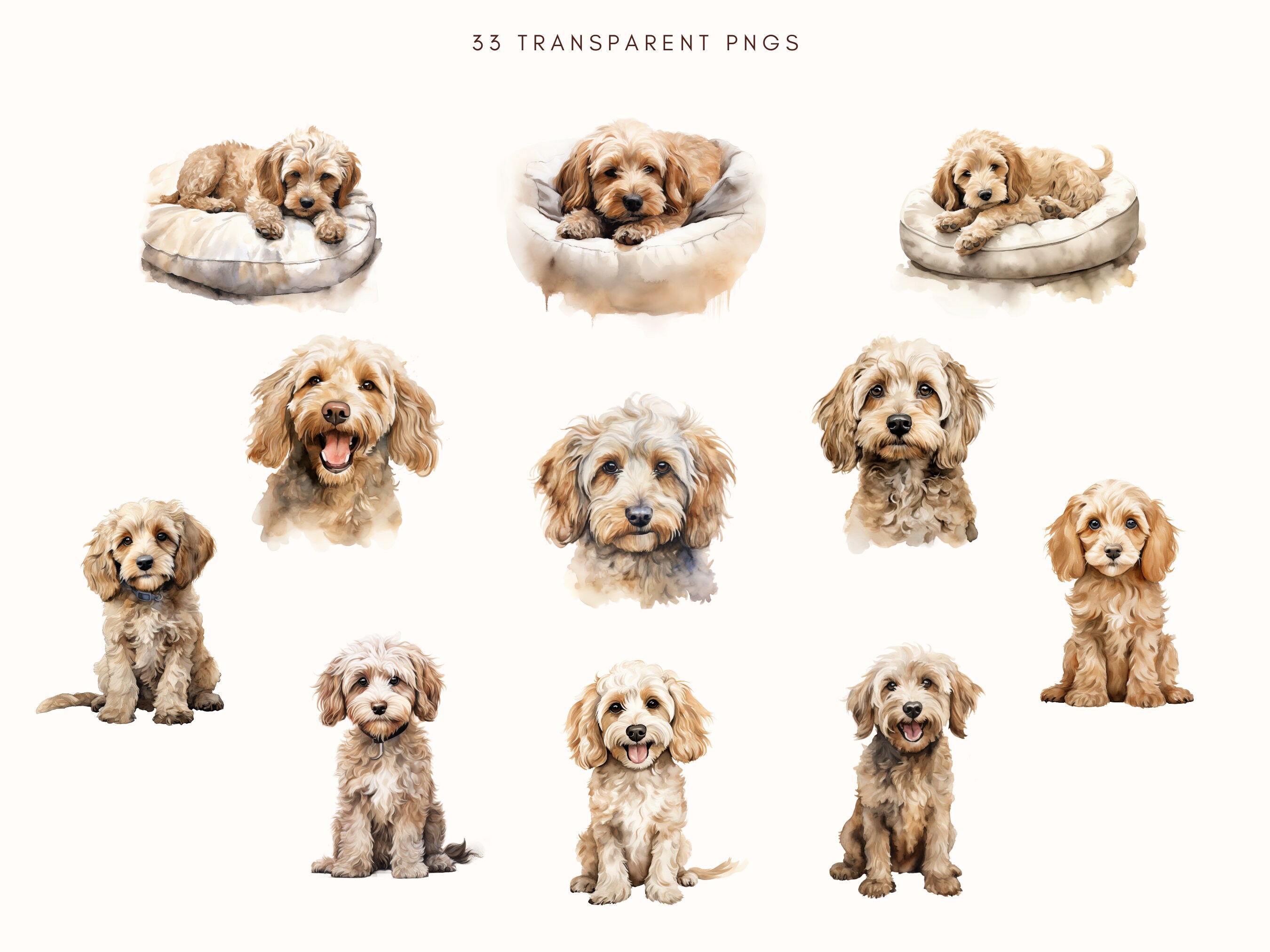 Cockapoo Clipart Dog Png Watercolor Clipart Dog Sublimation Dog ...