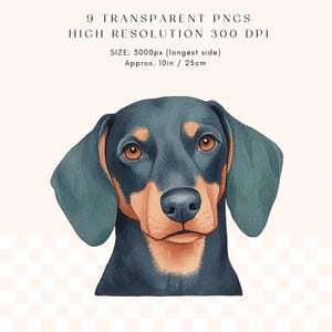 Cute Dachshund Clipart Bundle | Sausage Dog Art | Digital Download for ...