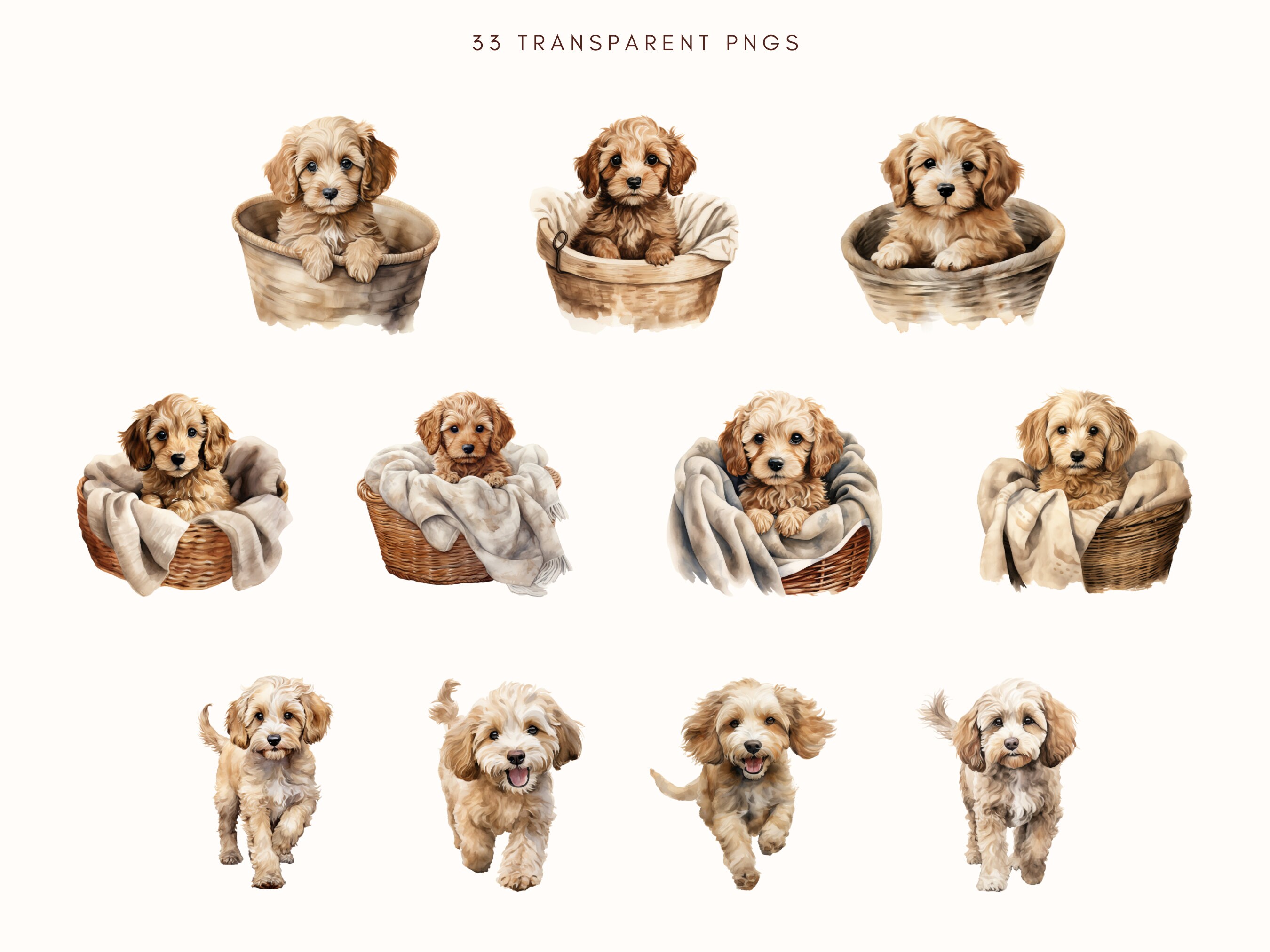 Cockapoo Clipart Dog Png Watercolor Clipart Dog Sublimation Dog ...