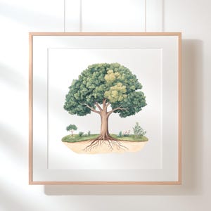 Oak Tree With Roots Clipart | Family Trees | Scrapbooking | Nature ...
