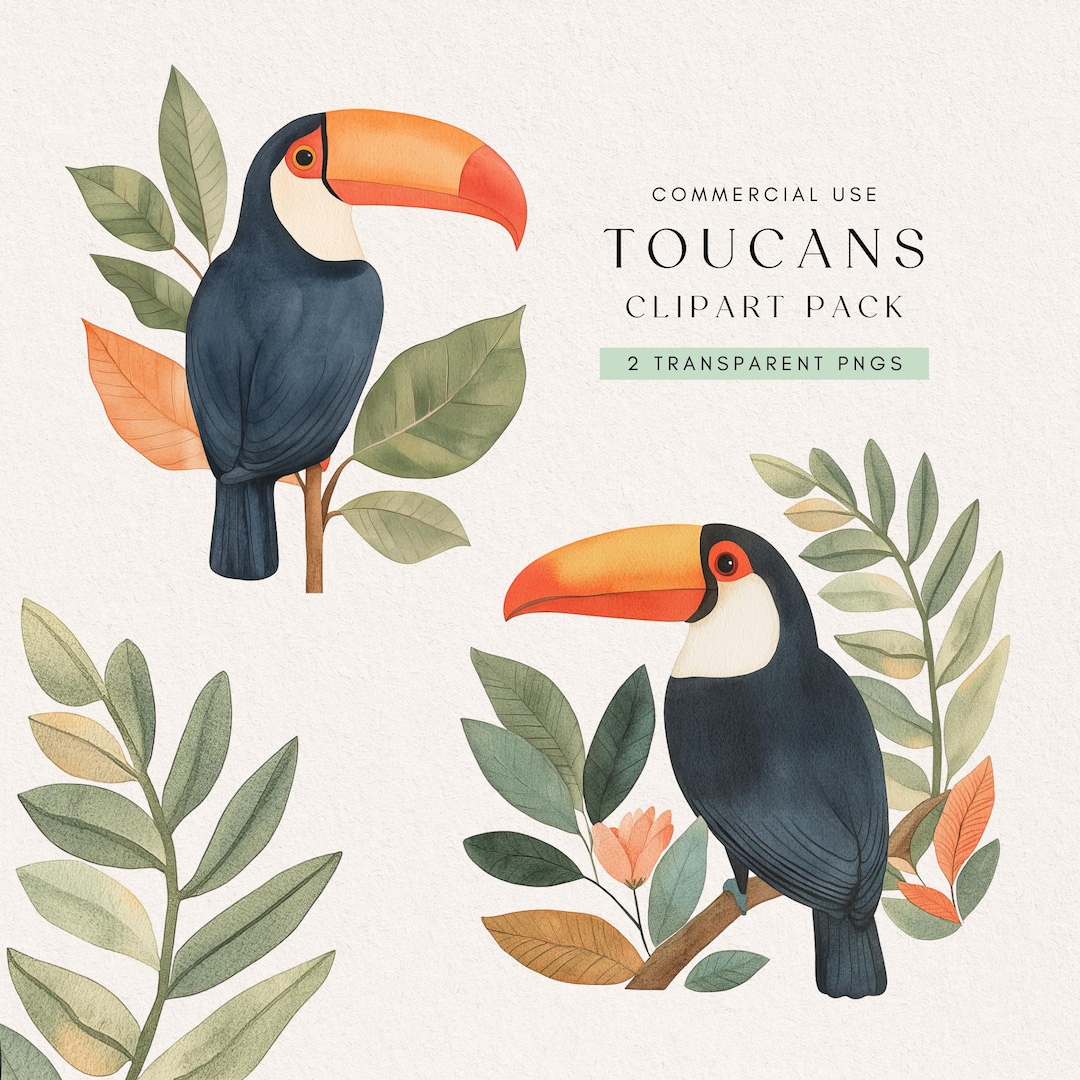 Cute Toucan Clipart | Tropical Birds PNG | Colorful Toucan Graphics ...