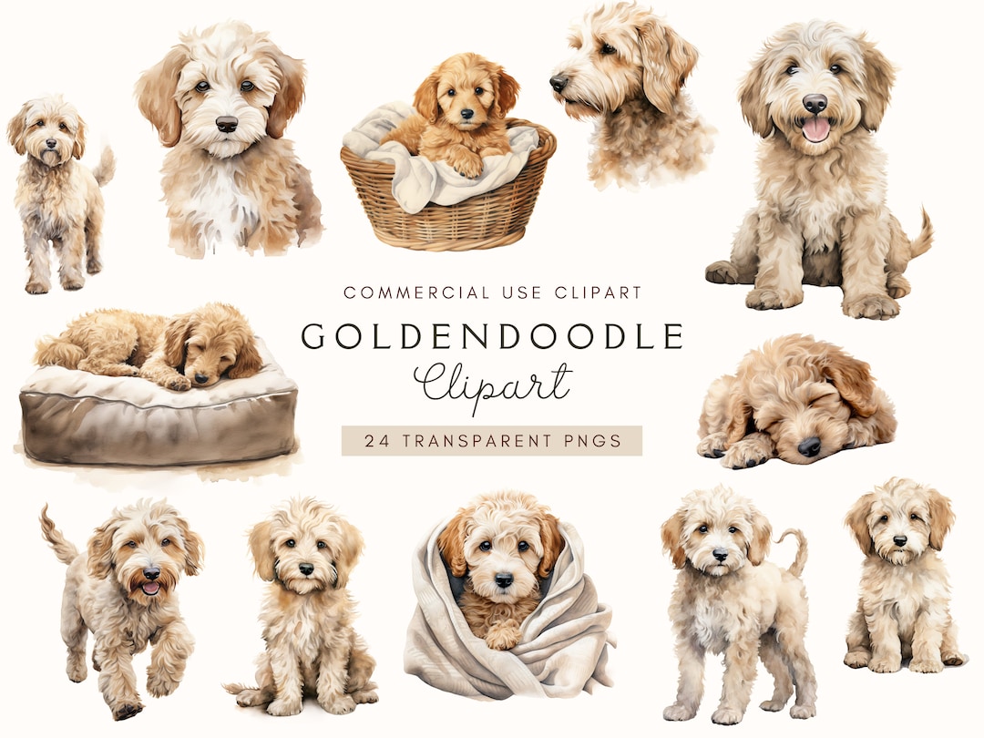 Goldendoodle Clipart | Digital Download | Golden Doodle Clipart | Dog ...