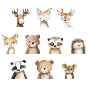 Watercolor Woodland Clipart | Cute Boho Animal Faces | Baby Animal ...