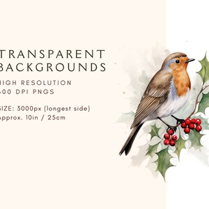 Watercolour Christmas Robin Clipart | Holiday Decor | Paper Craft ...